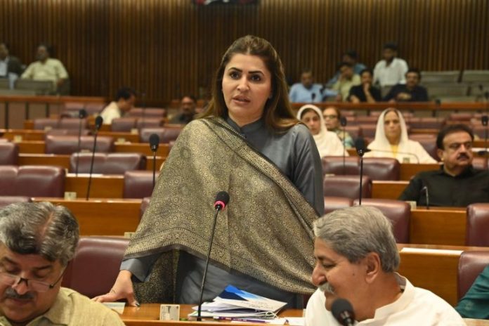 NA denounces continued Israeli aggression against people of Palestine ...